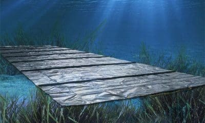 Lake Bottom Blanket | Chemical Free Weed Killer for Lakes